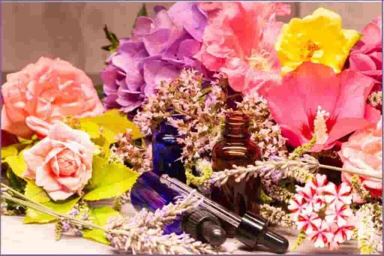 Floral Diffuser Blends: A Bouquet of Blissful Aromas