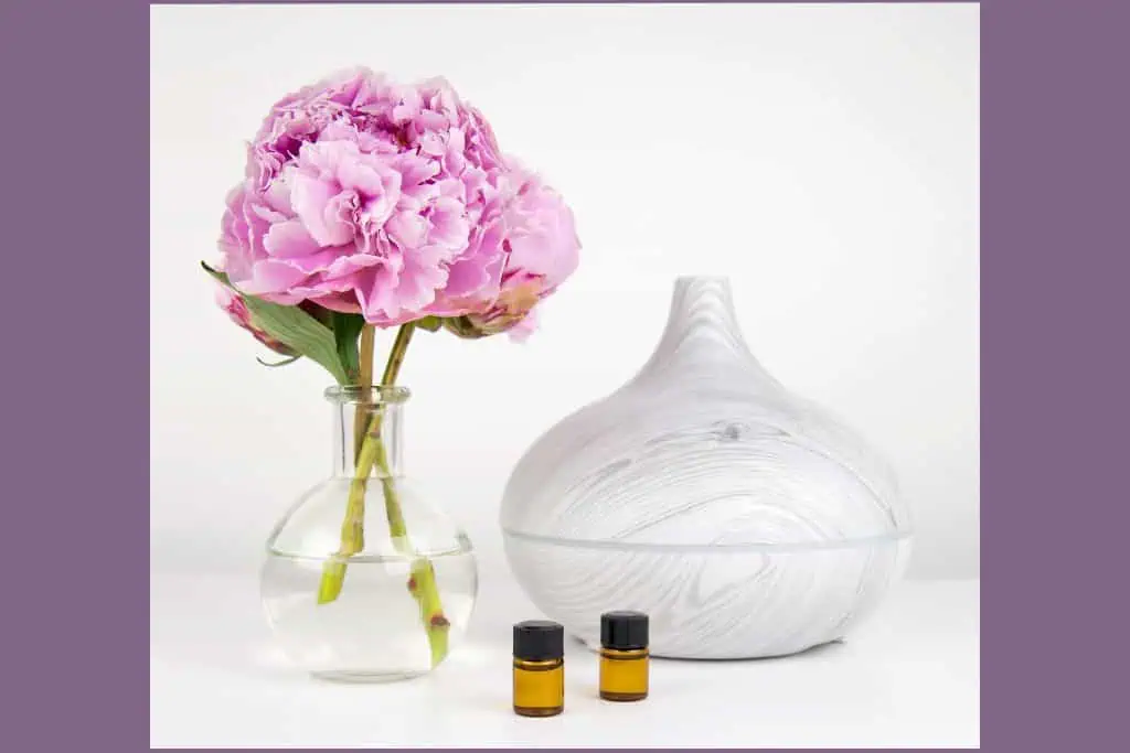 Floral Diffuser Blends: 24 Essential Oil Recipes for Every Mood