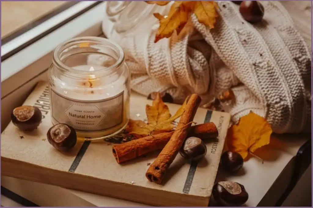 Ways To Make Your Home Smell Like Fall Naturally | Cozy Scent Ideas